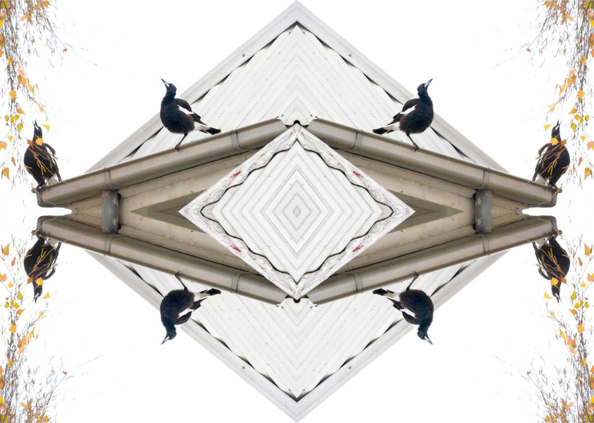 Cultural Reflections – Always on Country 2015 – 16